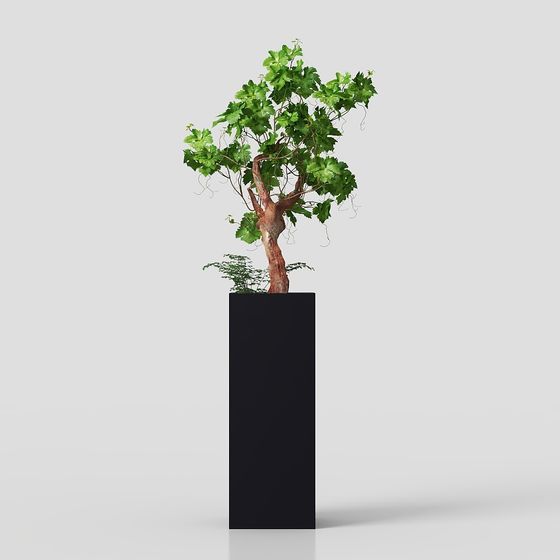 Urban Greenery 3D model for Vibrant Design Projects