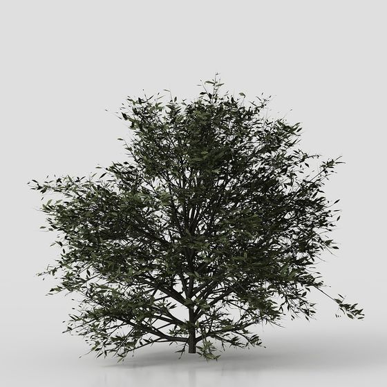 Forest Guardian 3D Model Tree