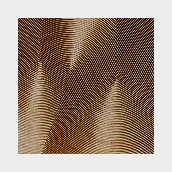 Ripple Curtain 3D model