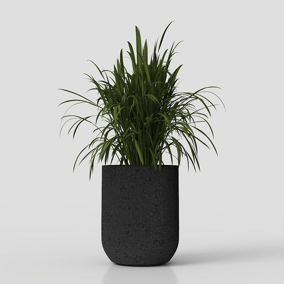 Urban Greenery 3D Model