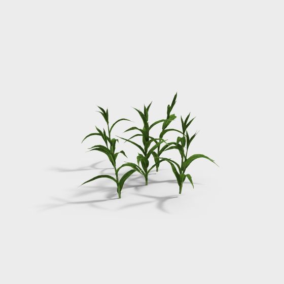 Lush Green Grass 3D model