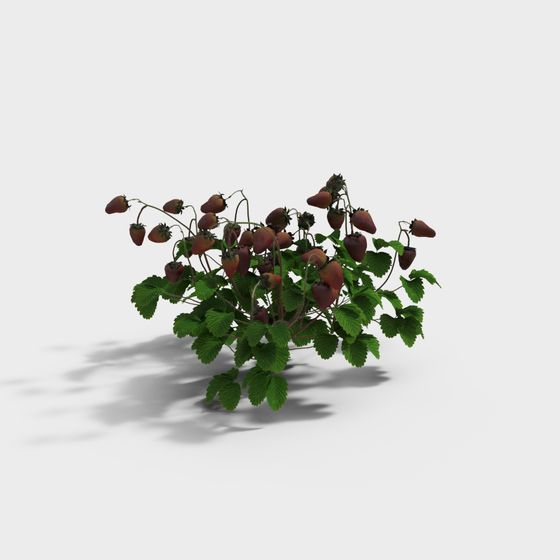 Low-Poly High-Detail Strawberry Bush 3D model for Creative Projects