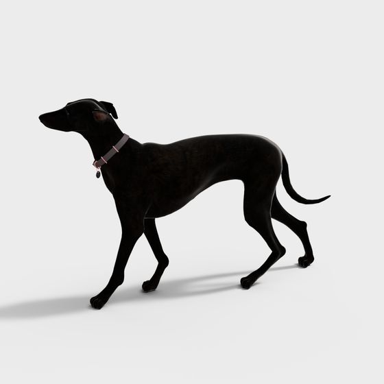 Elegant Hound 3D Model