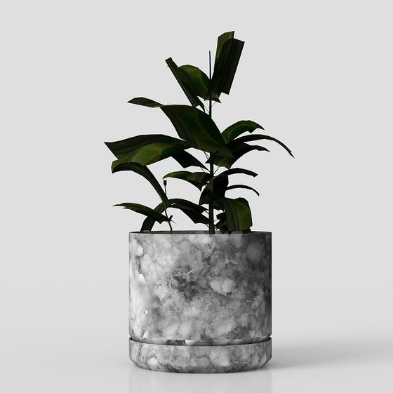 Stylish Low Poly Plant Pot 3D Model