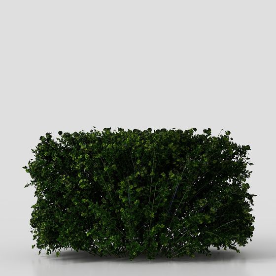 Realistic Low-Polygon Bush 3D Model