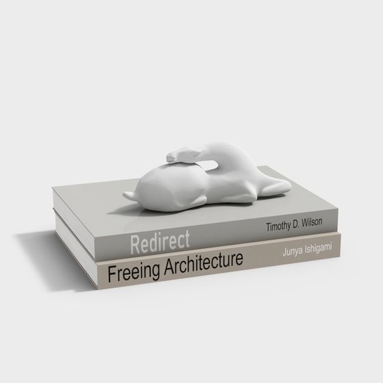 Streamlined Dolphin Low Poly 3D model