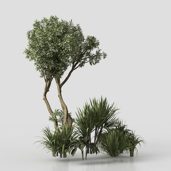 Tropical Jungle Garden 3D model