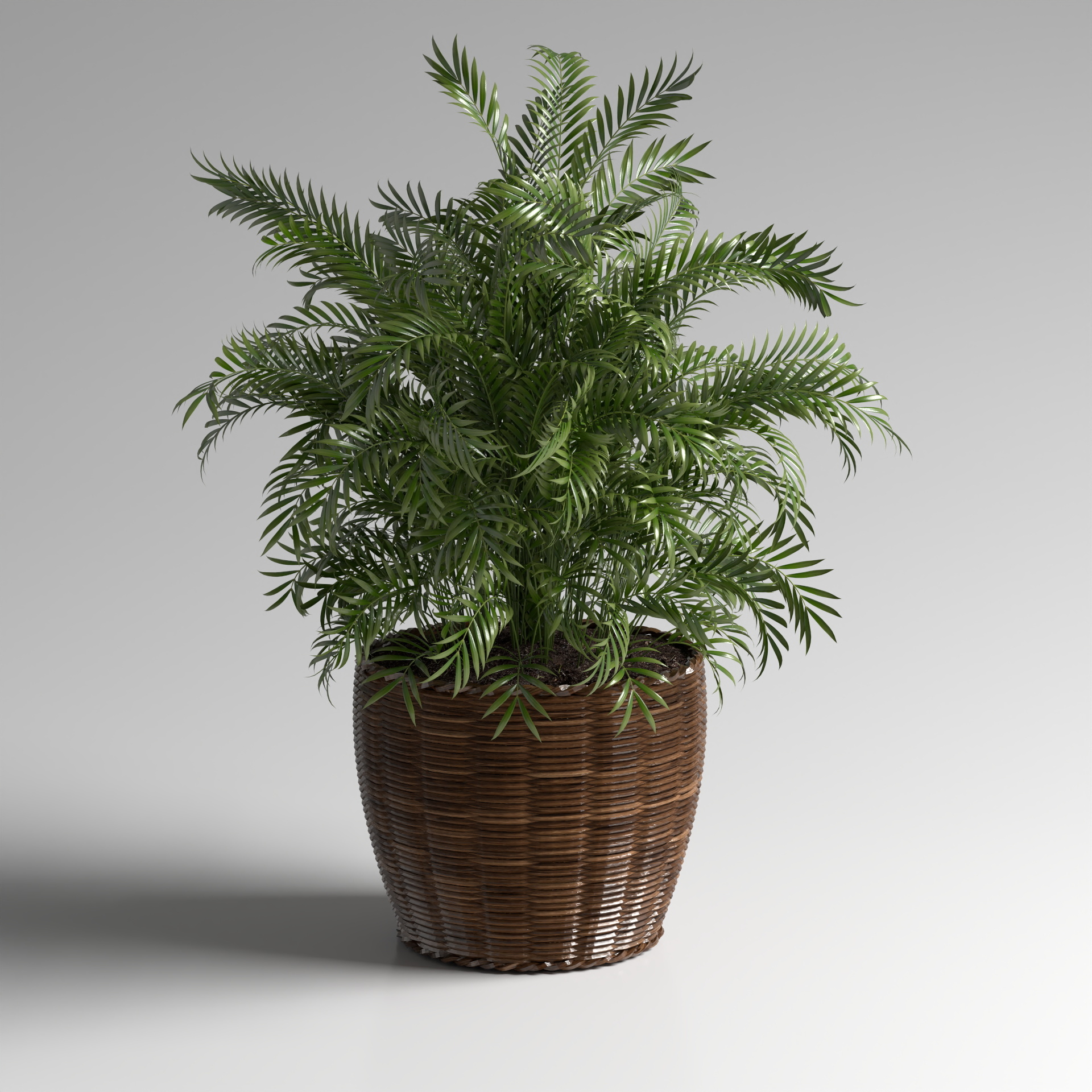 3D Model Plant Cell for Projects | Detailed Educational Model