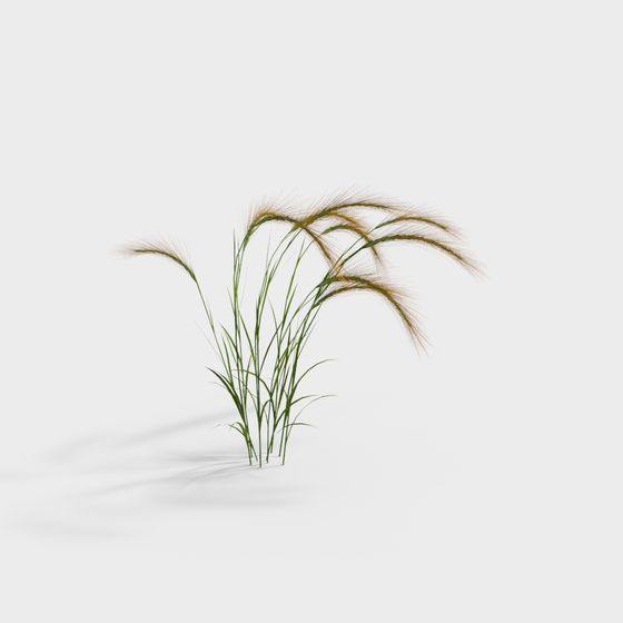Realistic Wheat Ear 3D model
