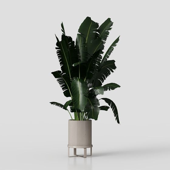 Vibrant Indoor Plant Pot 3D Model – Low-Poly Tropical Design