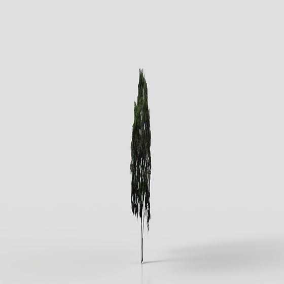Vibrant Mango Tree 3D Model – Green Free