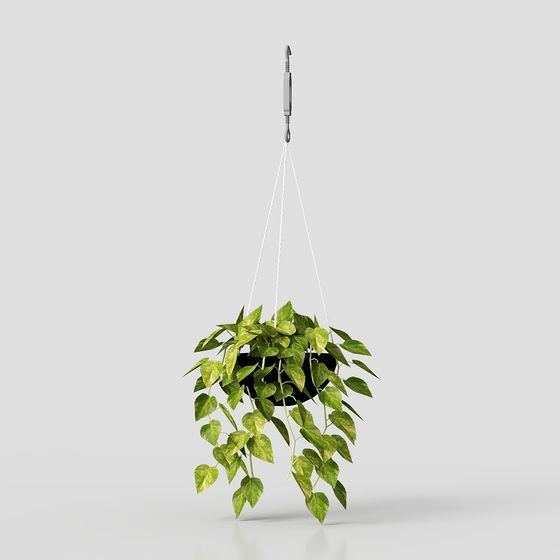 Hanging Green Plant 3D Model – Low-Poly Nature Asset