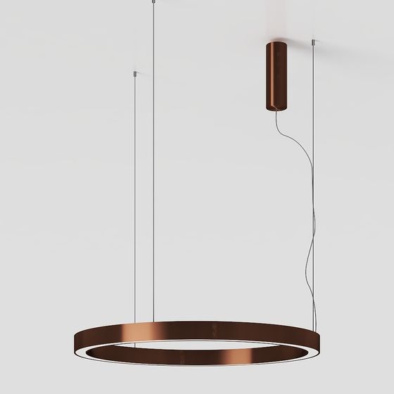 Elegant Circular Pendant Light 3D model