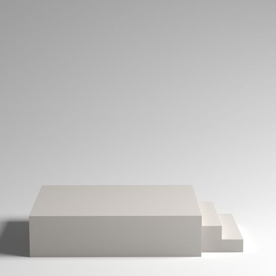 3D Model of White Steps