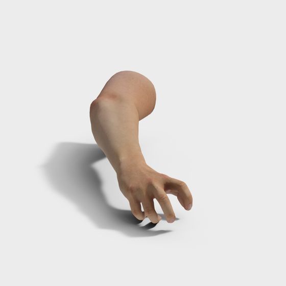 Realistic Human Arm 3D Model – Detailed Anatomy