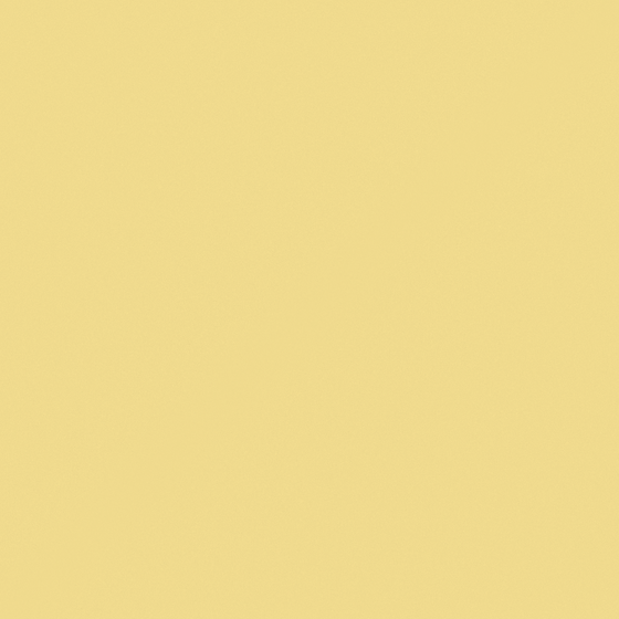 NP YO 2519P-Sunny Side Up